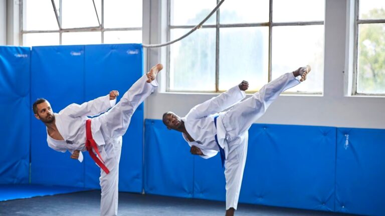 Karate vs. Other Martial Arts: What’s the Difference?