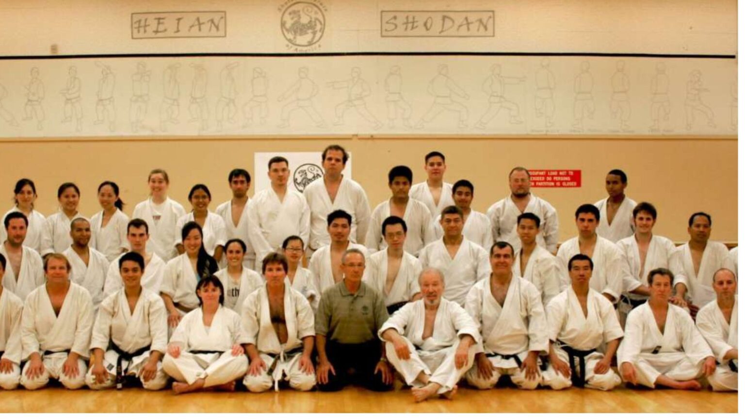 The Evolution of Karate Clubs Over the Years