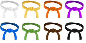Understanding Karate Belt Rankings and What They Mean