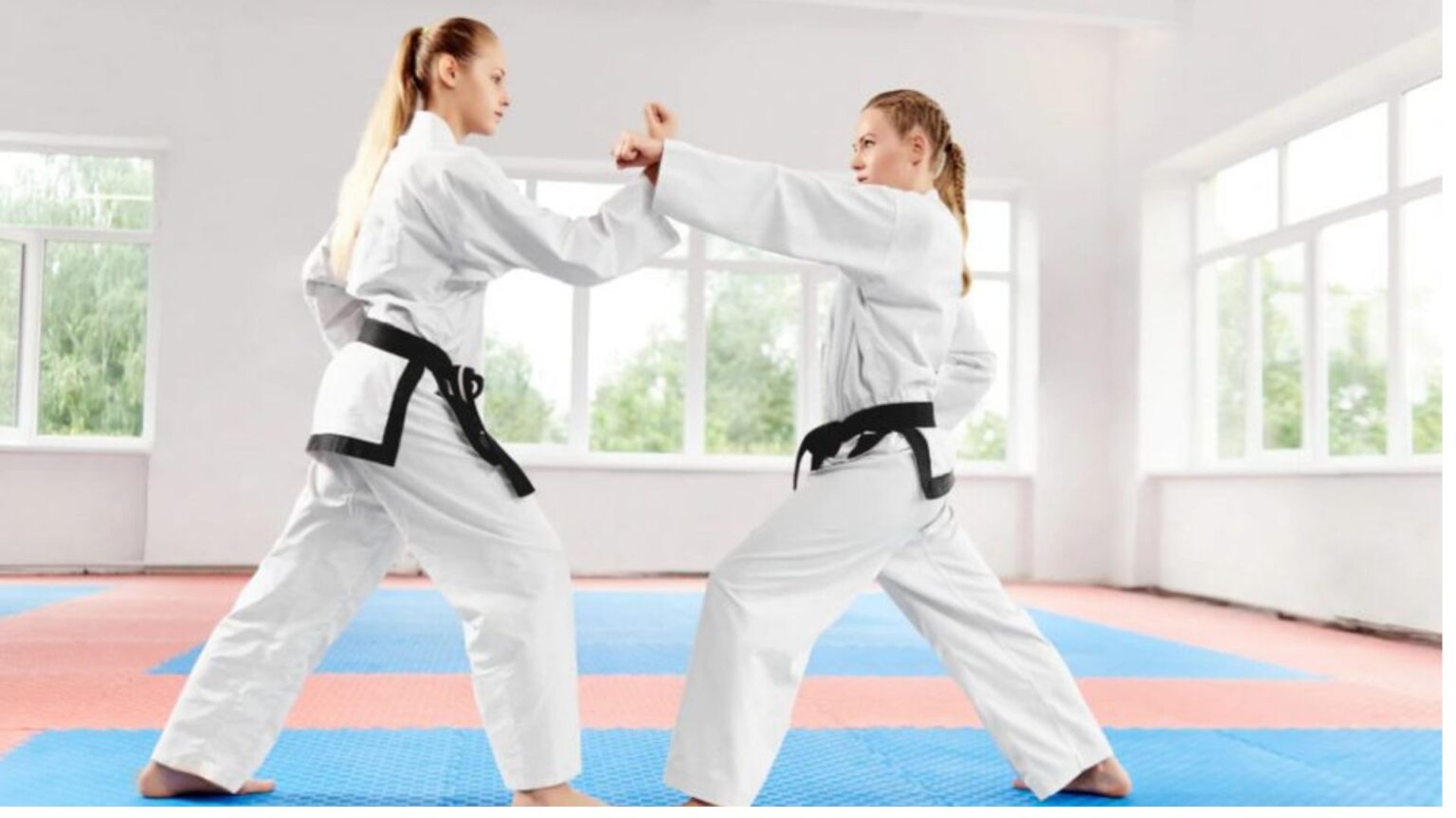 Understanding the Importance of Karate Stances